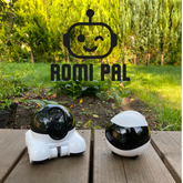 Romi Pal